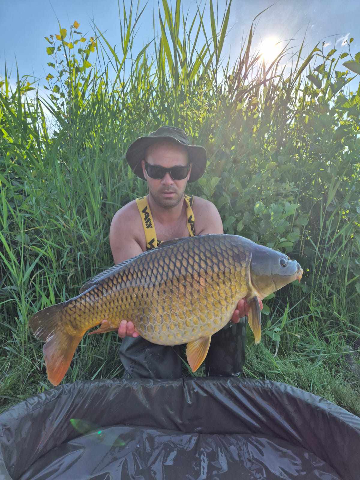 RR BAITS ,NASH, FOX , KORDA , GURU